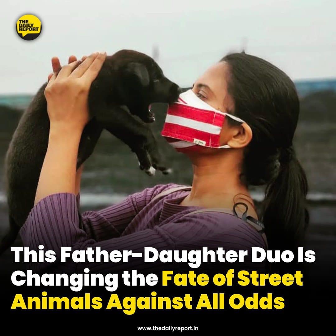 Show me the place where I can adopt a dog for free - Pluto Pet Clinics